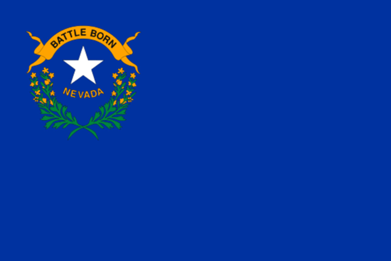 State Flag